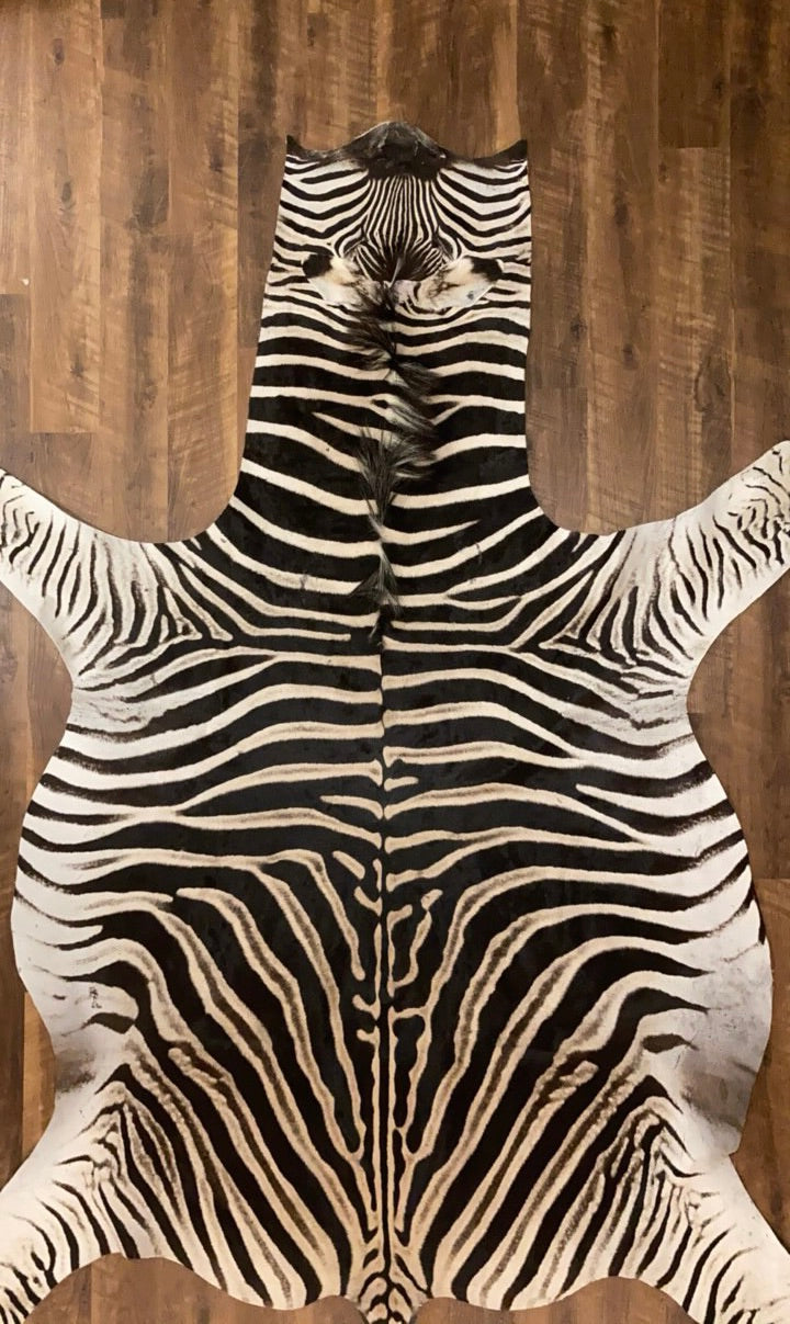 Zebra Skin Rug