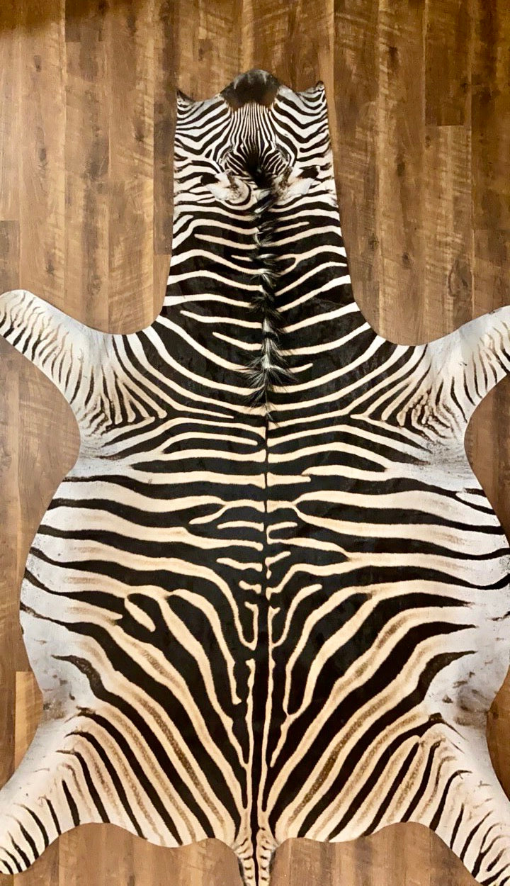 Zebra Skin Rug