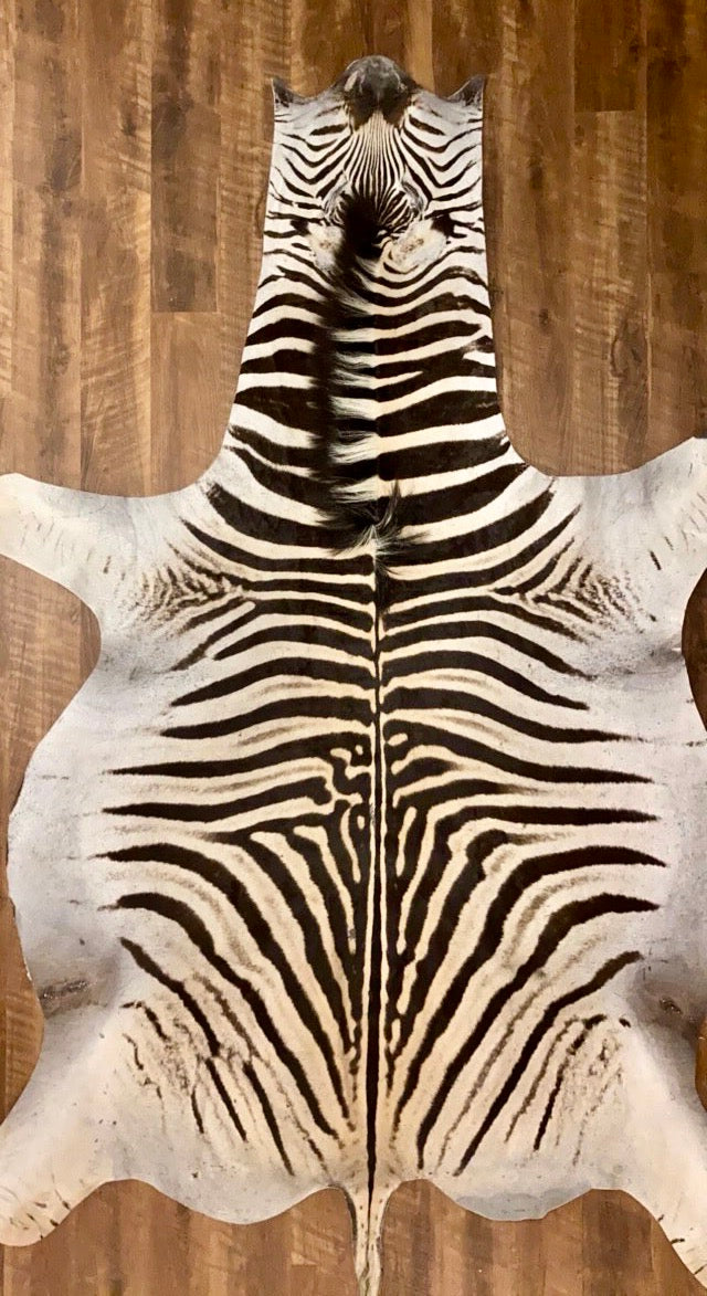 B Grade Zebra Hide Rug [B138]